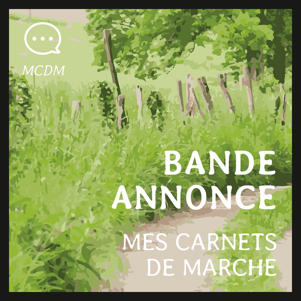 Mes carnets de marche - Des kilomètres à pied